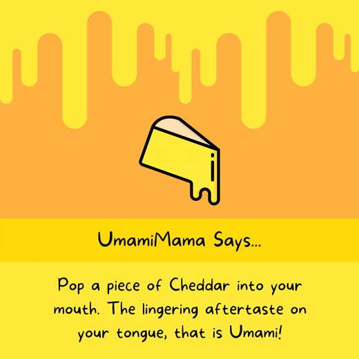 Ray Mortimer, UK Based Front-End Web Developer